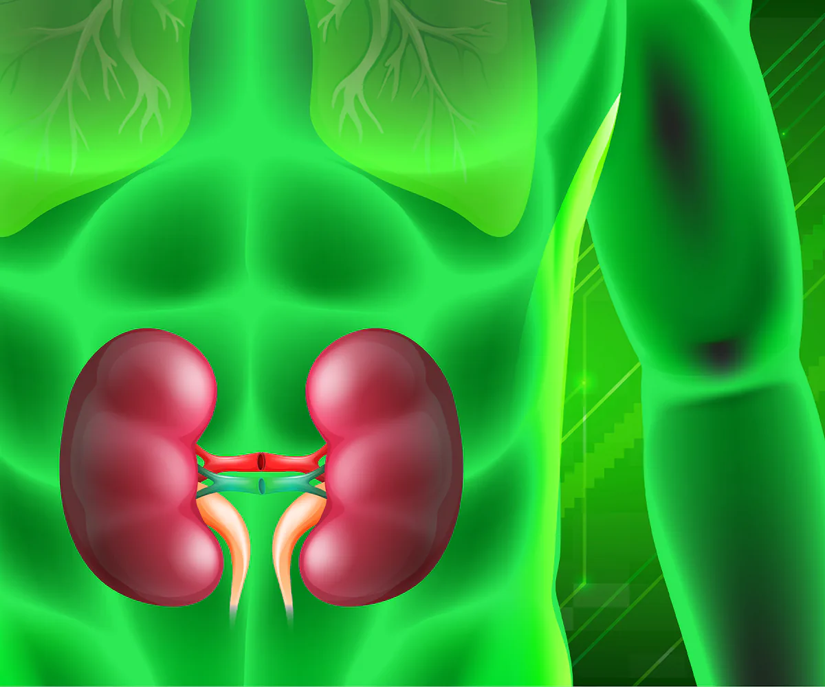 Urology – Carepeak Specialist Clinic